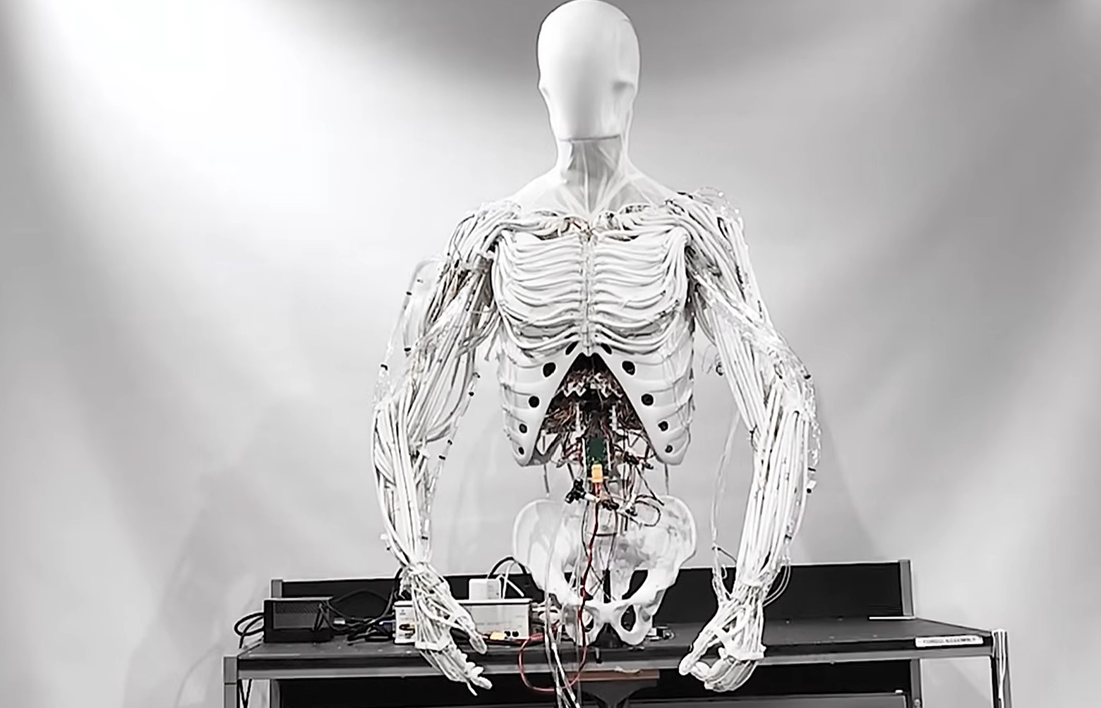 The Uncanny Arrival: Clone Robotics’ Bimanual Musculoskeletal Torso